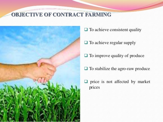 Contract farming in india By Amit Bishnoi Contract farming in india By Amit Bishnoi