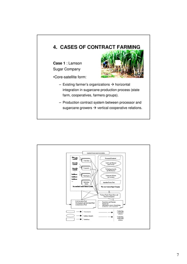 CONTRACT FARMING IN VIETNAM | PDF | Agriculture | Industries