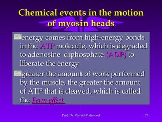 Contractile mechanism of skeletal muscle 2 | PPT