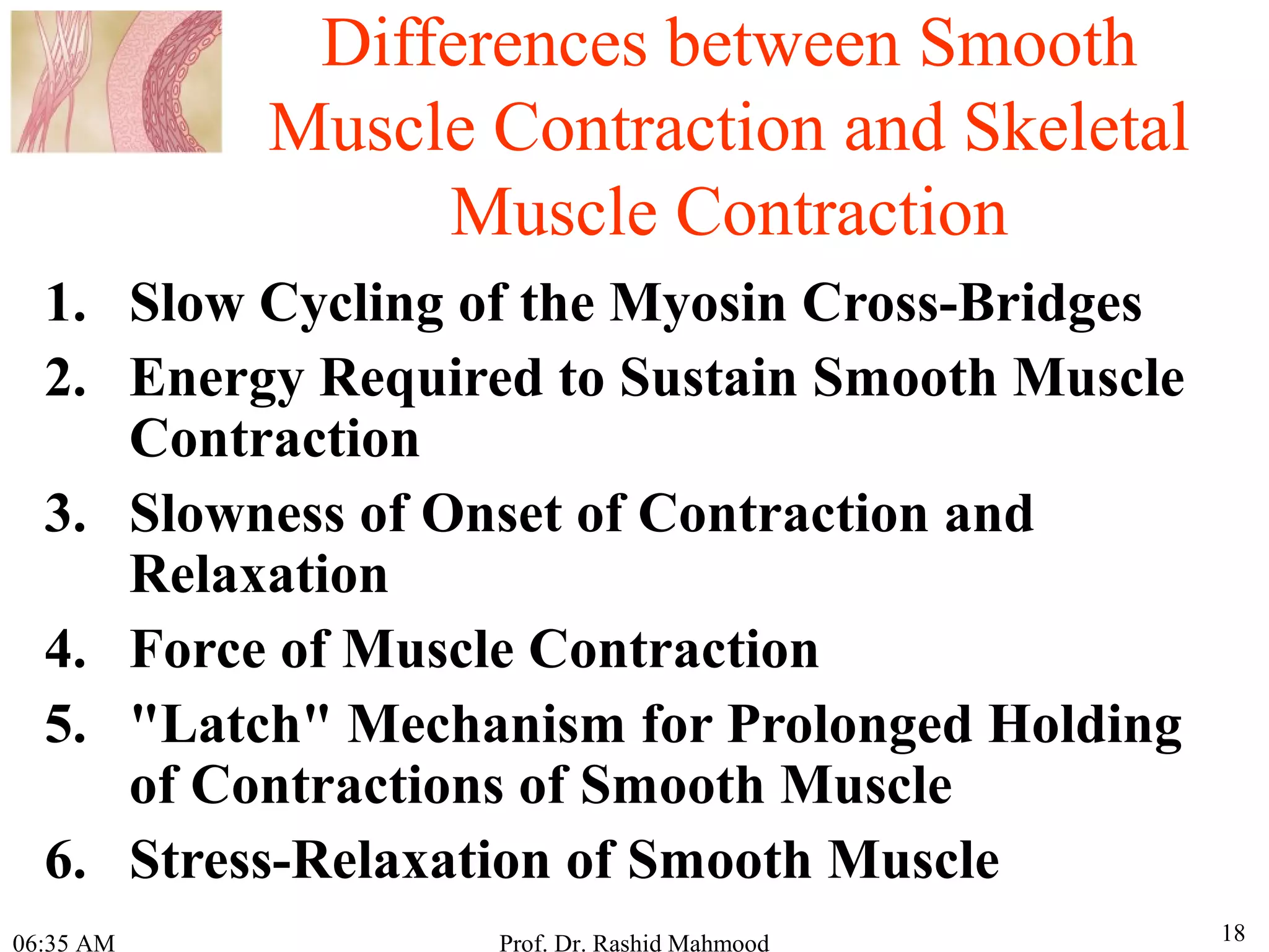 Contractile mechanism of smooth muscle | PPT