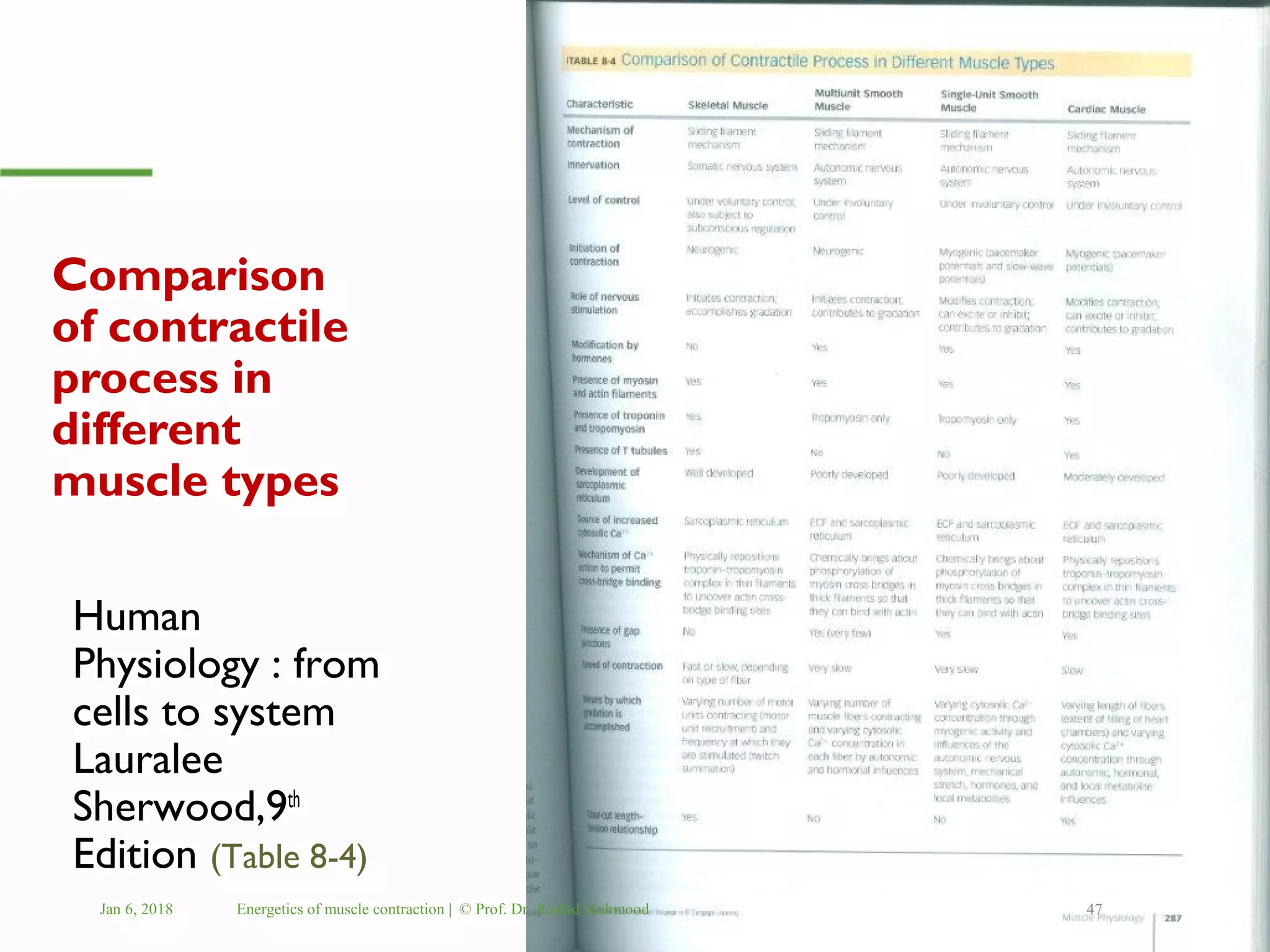 Contractile mechanism of smooth muscle | PPT