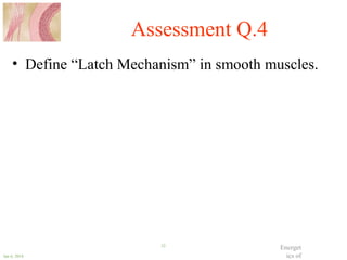 Contractile mechanism of smooth muscle | PPT