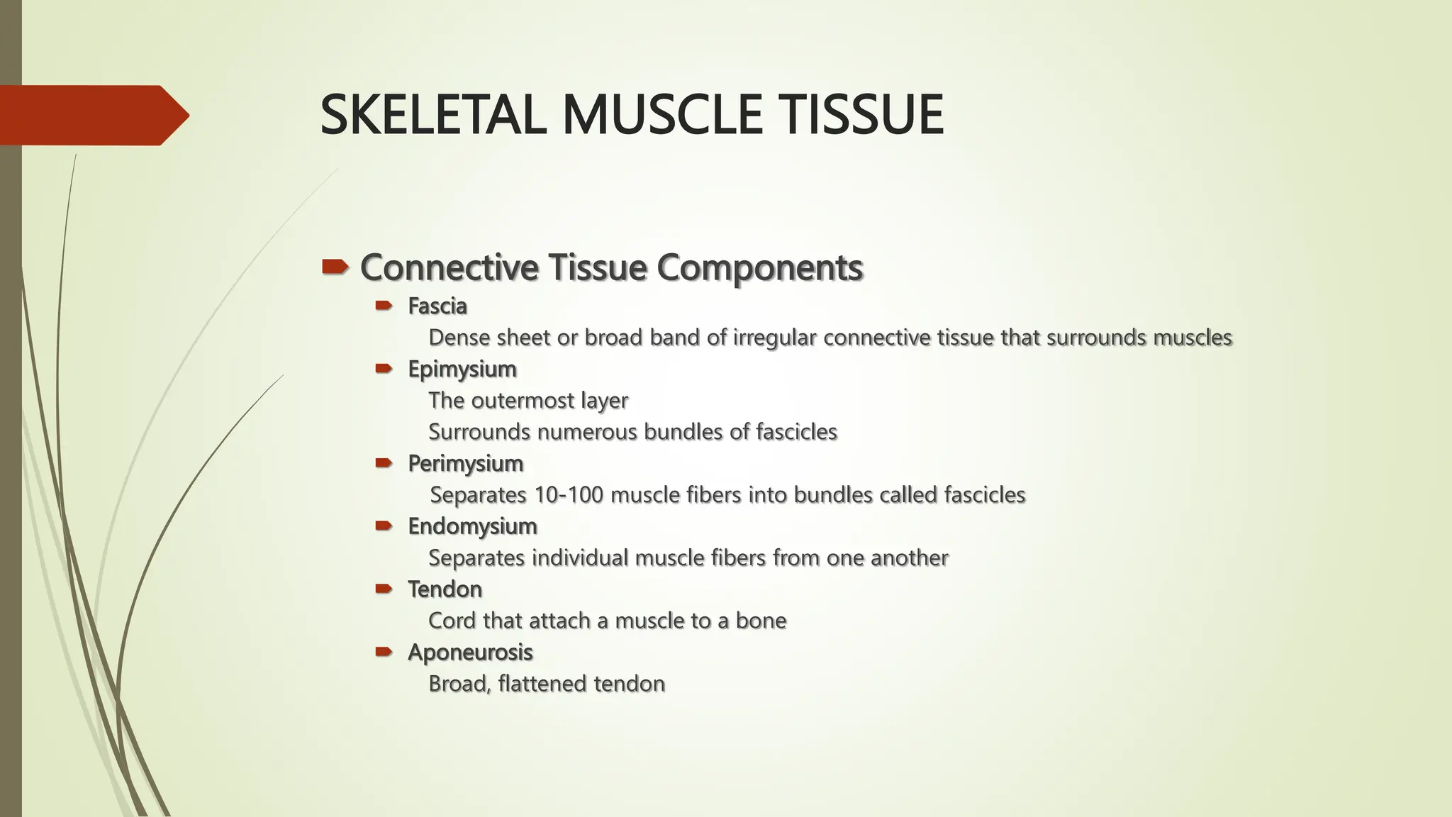 CONTRACTILE TISSUES. medical physiologyptx | PPTX
