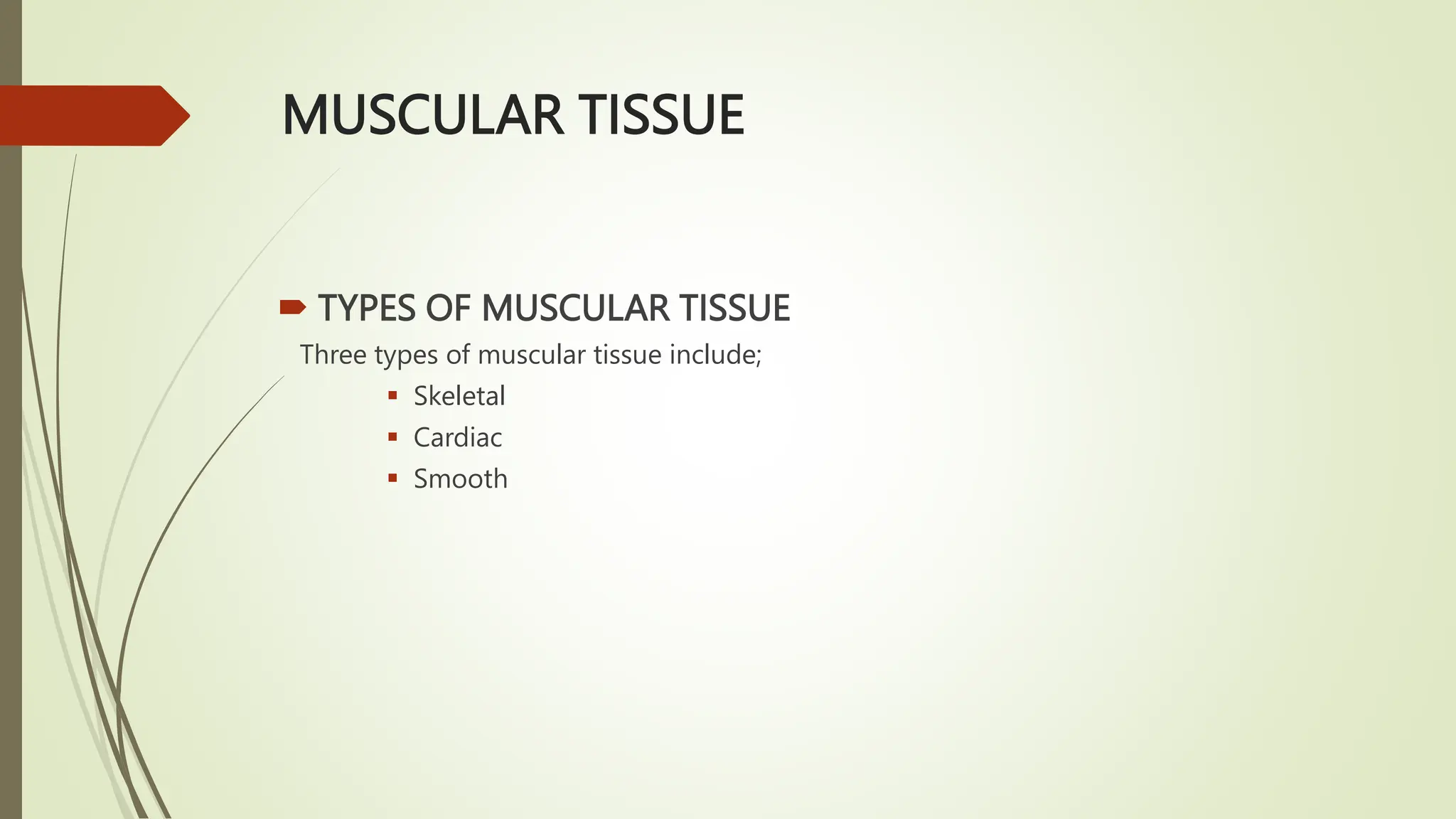 CONTRACTILE TISSUES. medical physiologyptx | PPTX