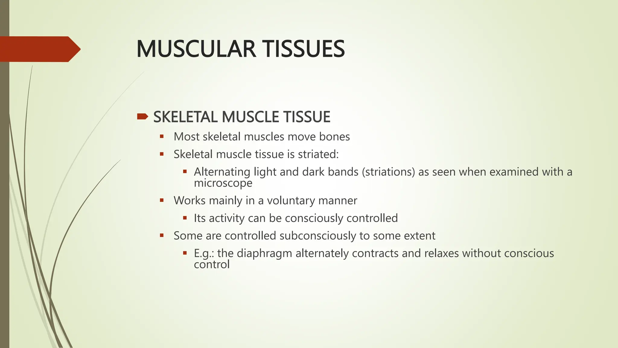CONTRACTILE TISSUES. medical physiologyptx | PPTX
