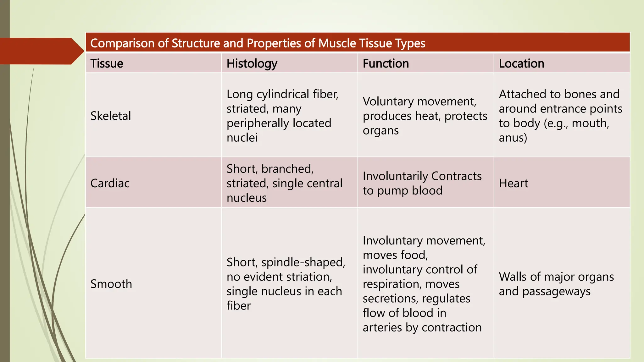 CONTRACTILE TISSUES. medical physiologyptx | PPTX