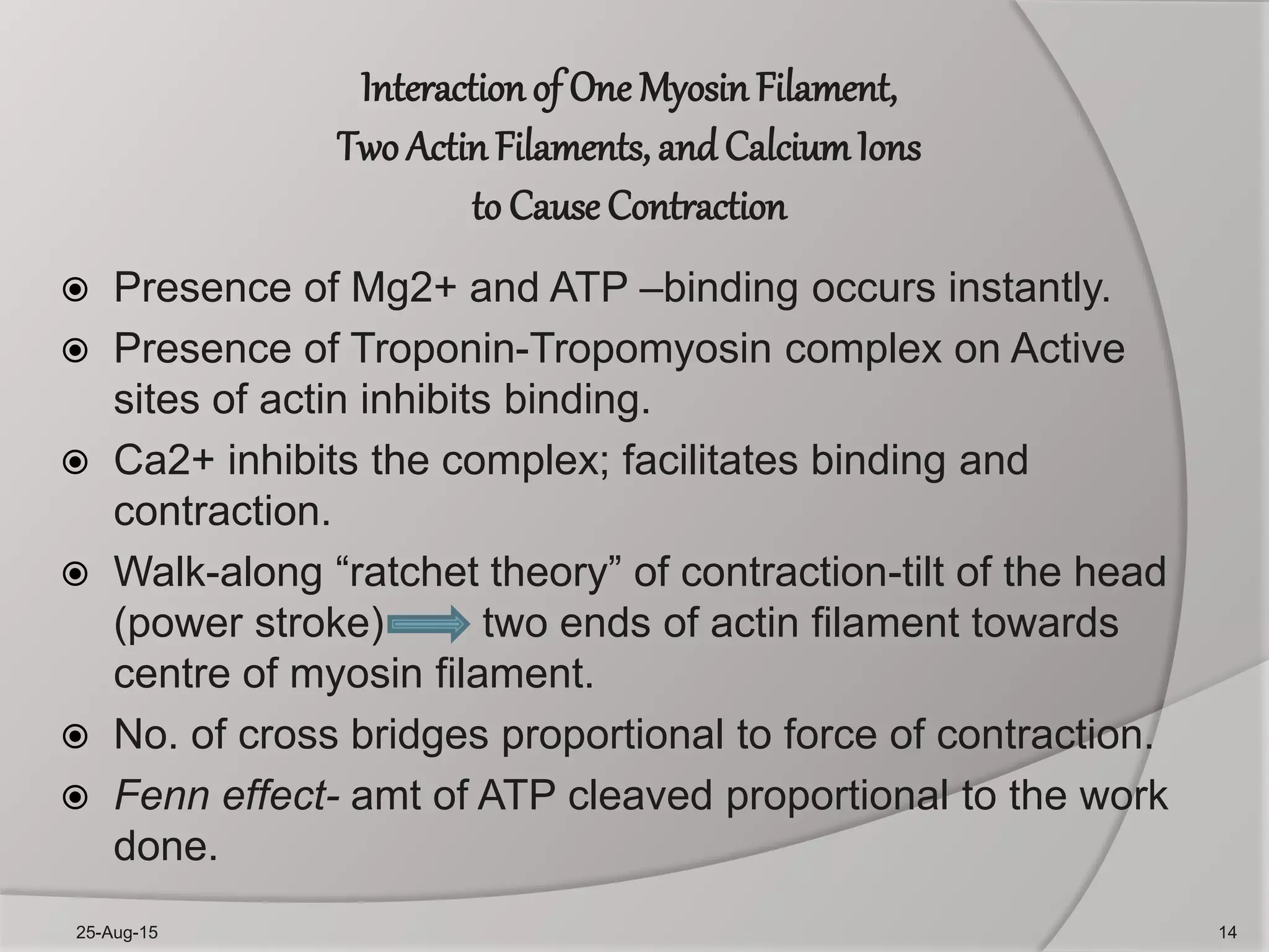 Contraction of skeletal and smooth muscles | PPTX