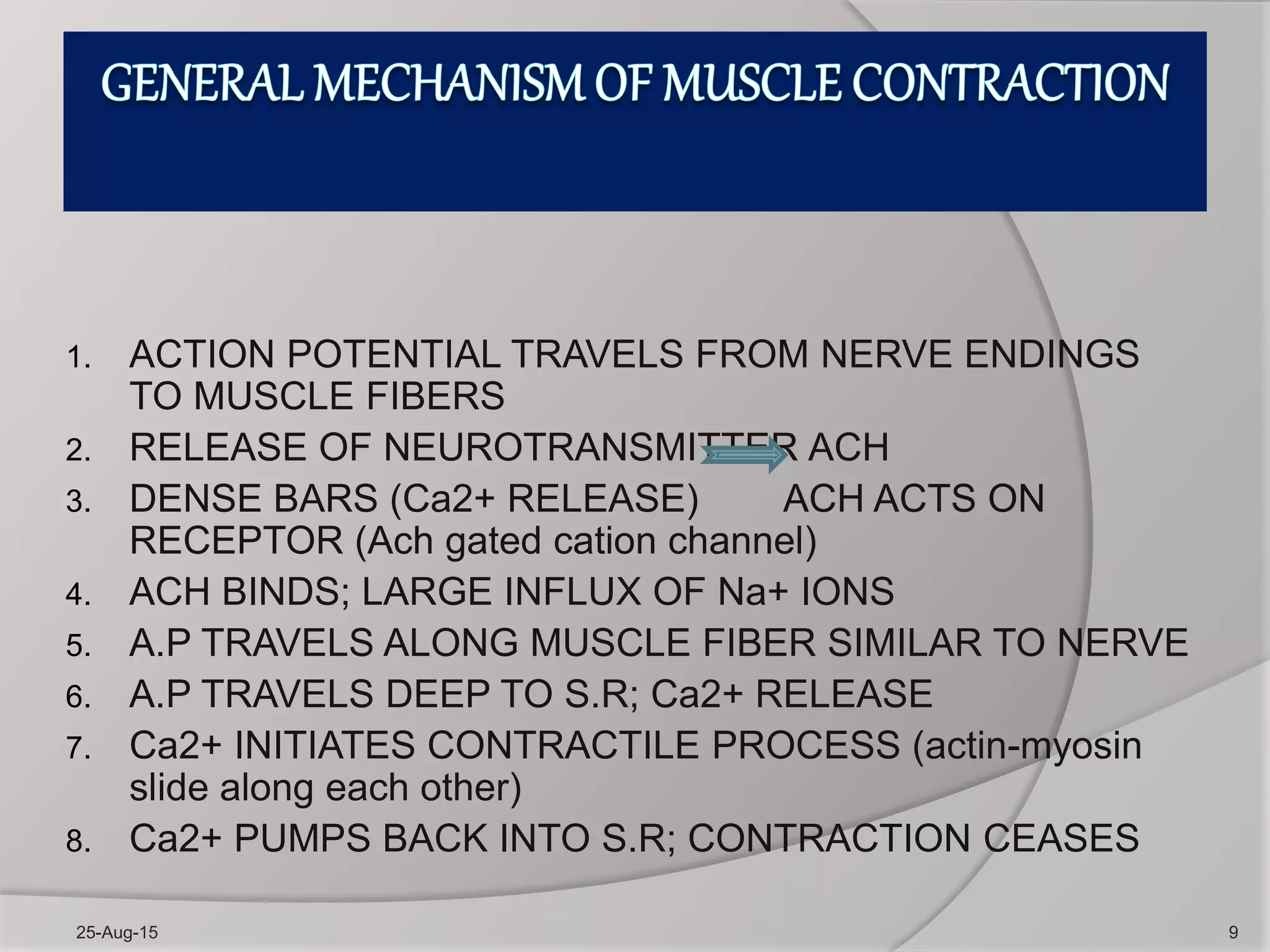 Contraction of skeletal and smooth muscles | PPTX