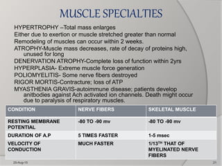 Contraction of skeletal and smooth muscles | PPTX