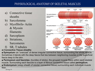 Contraction of skeletal and smooth muscles | PPTX