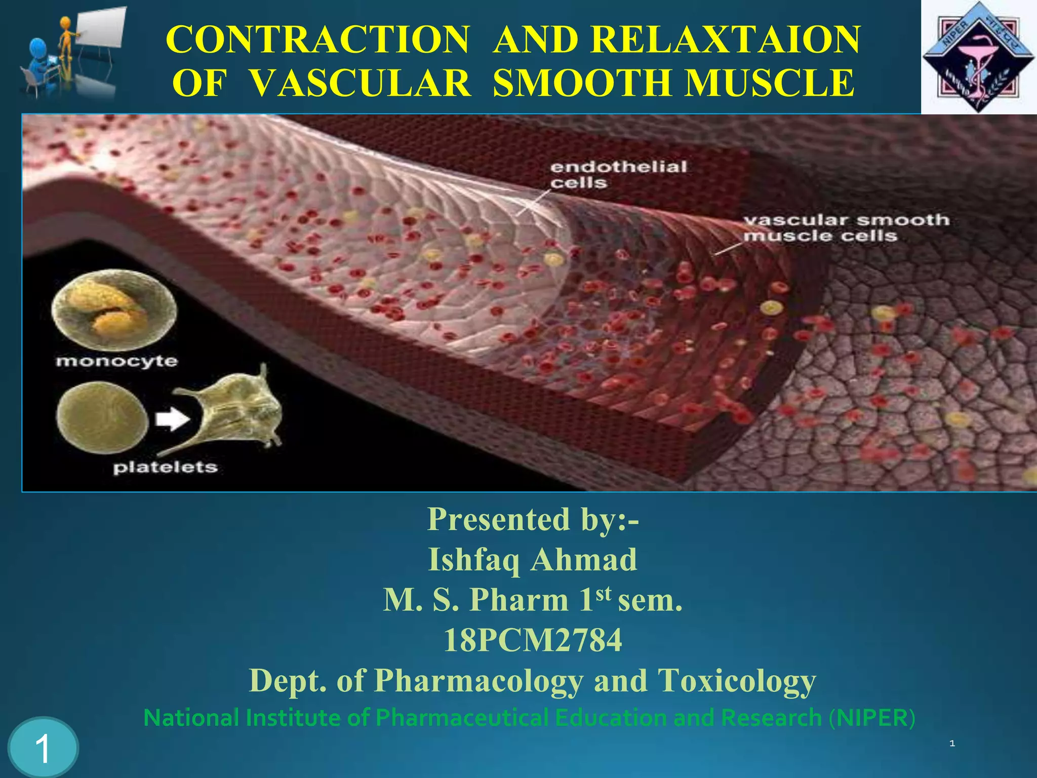 Contraction and relaxtaion of vascular smooth muscle | PPTX