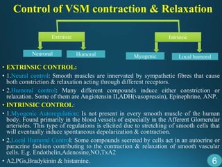 Contraction and relaxtaion of vascular smooth muscle | PPTX