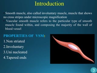 Contraction and relaxtaion of vascular smooth muscle | PPTX