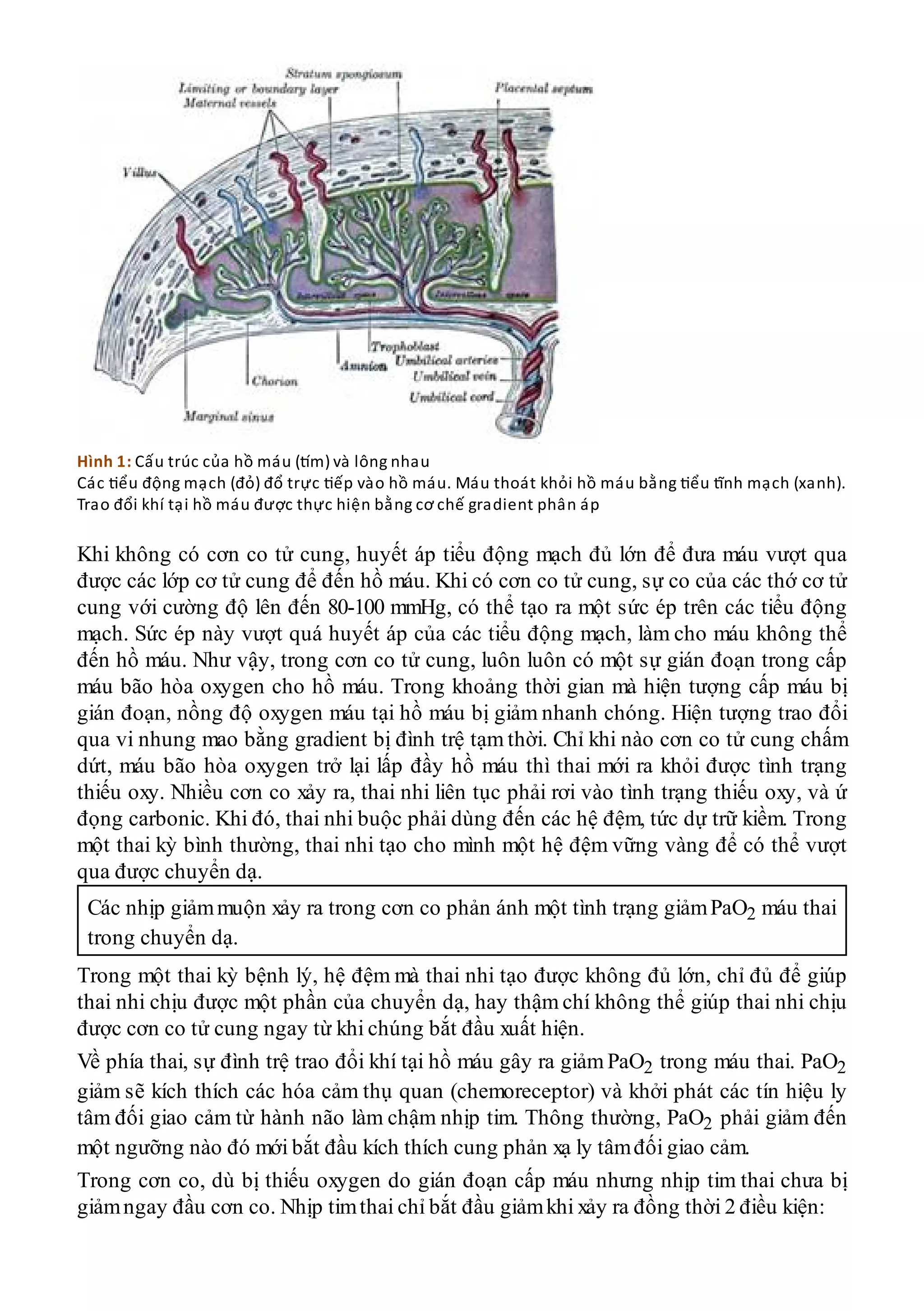 CONTRACTION STRESS TEST | PDF