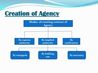 Contract of agency | PPTX