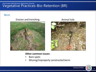 Contractor Awareness Training Vegetative Practices 2016 | PPT