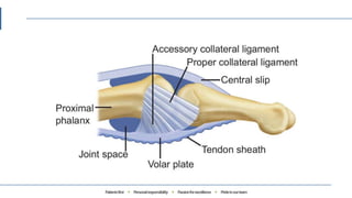 Posttraumatic Metacarpophalangeal and Proximal Interphalangeal Joint ...