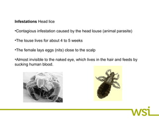 Contraindications | PPT