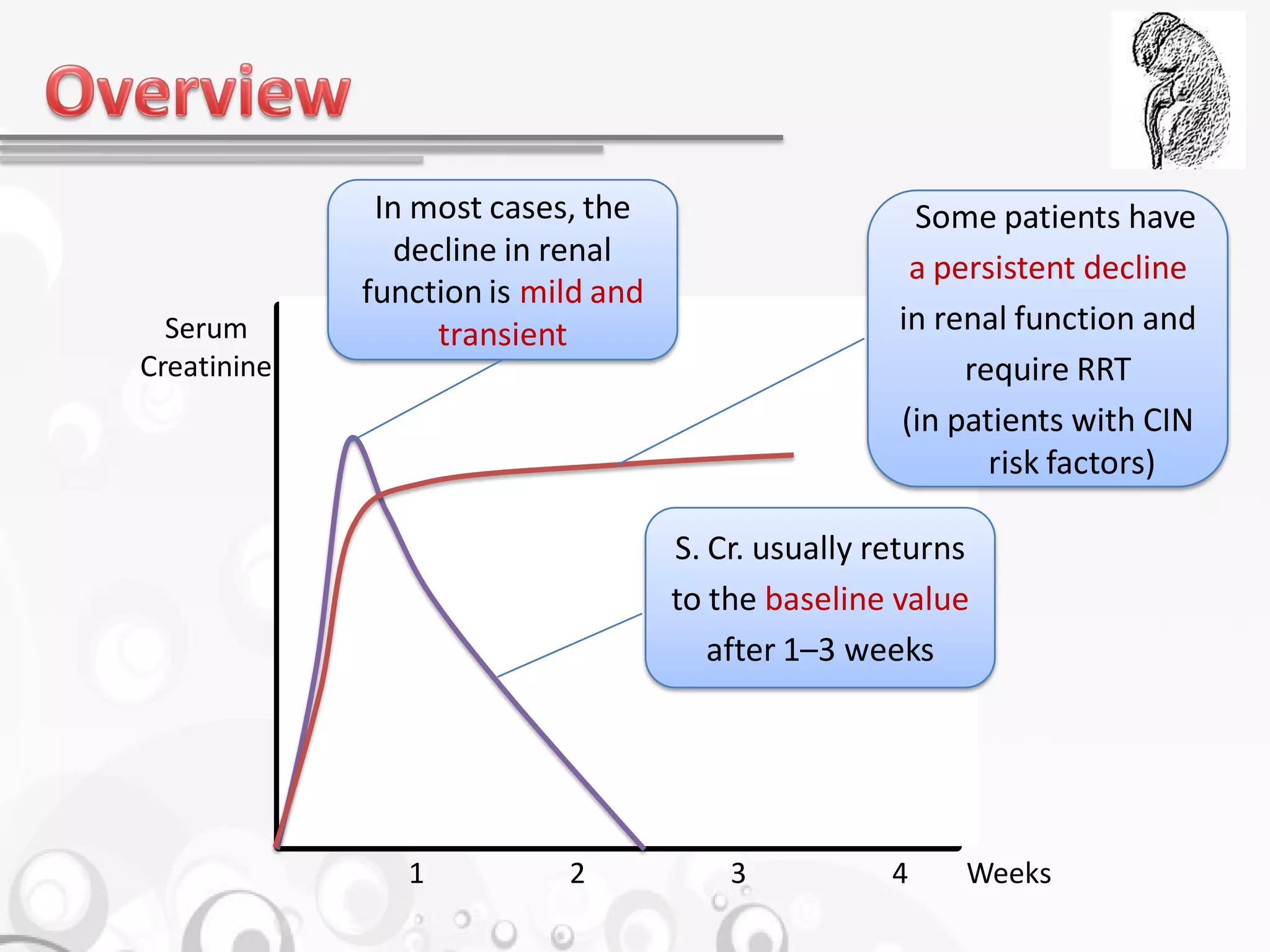 Contrast Induced Nephropathy | PDF