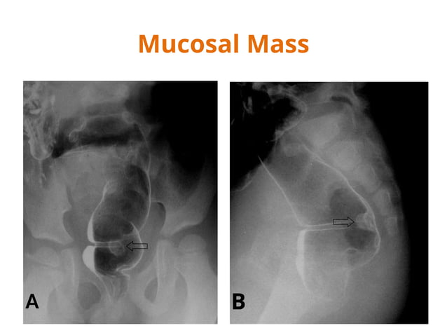 Contrast-Radiography (1).pptx in dog radiology | PPTX