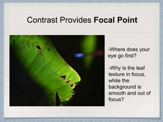 Contrast & focal point exercise | PPTX