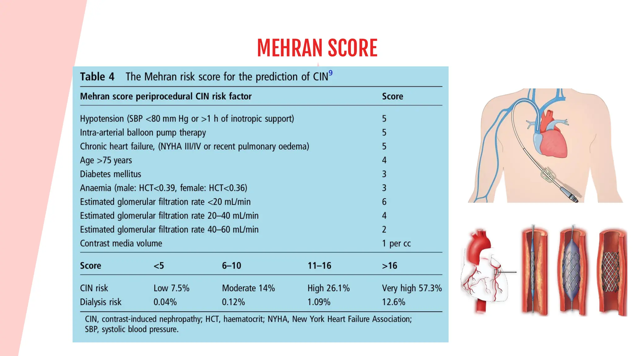 Contrast Induced Nephropathy CIN Angiography | PDF