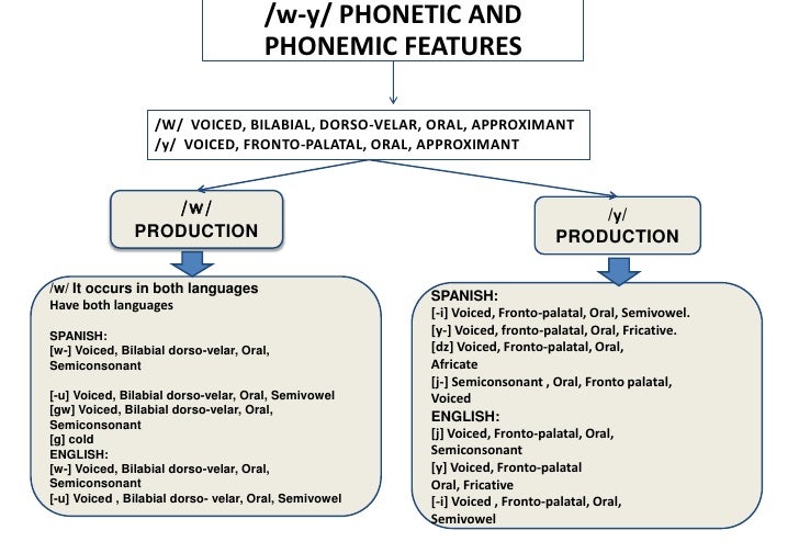 Contrastive fonology # 1 POR JENNY DUENAS