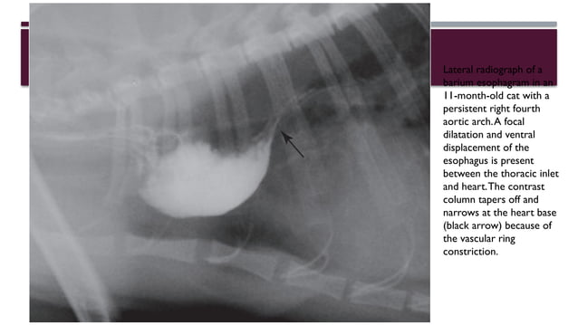 contrast radiography - diagnostic imaging.pptx