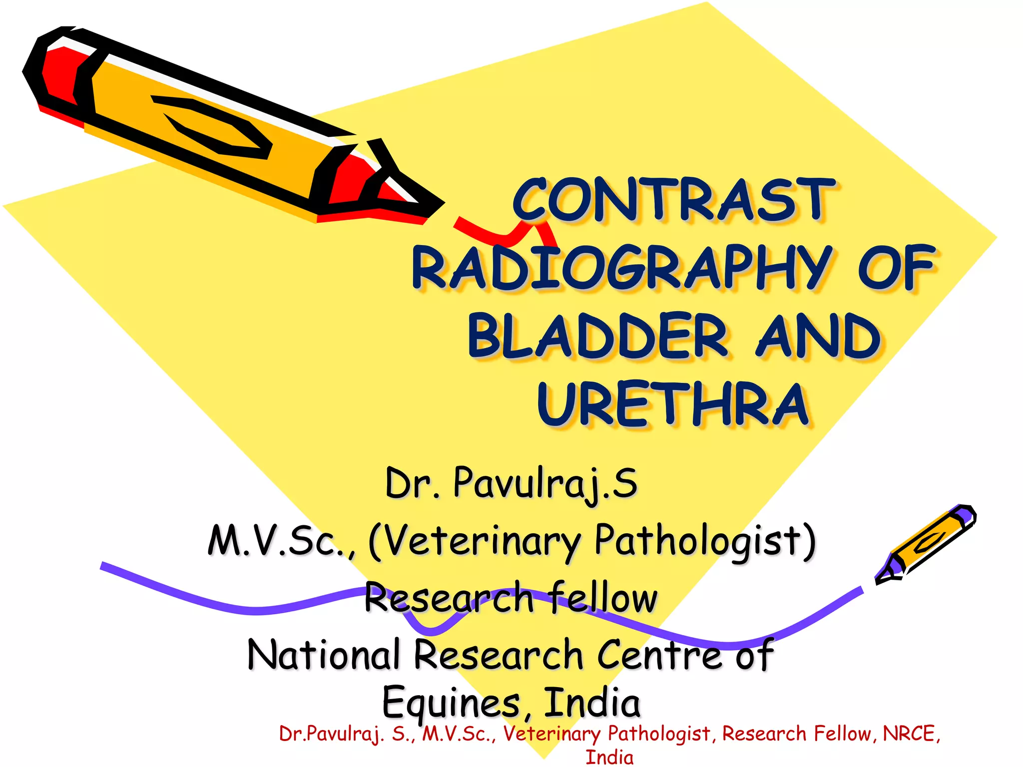 Contrast radiography of bladder and urethra by Dr. Pavulraj. S | PPT