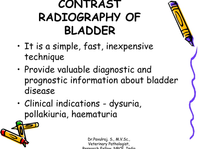 Contrast radiography of bladder and urethra by Dr. Pavulraj. S | PPT