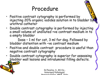 Contrast radiography of bladder and urethra by Dr. Pavulraj. S | PDF