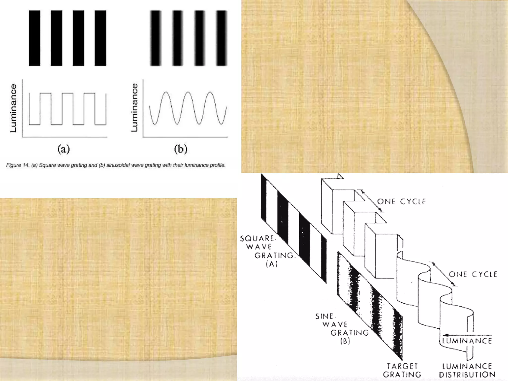 Contrast sensitivity | PPTX