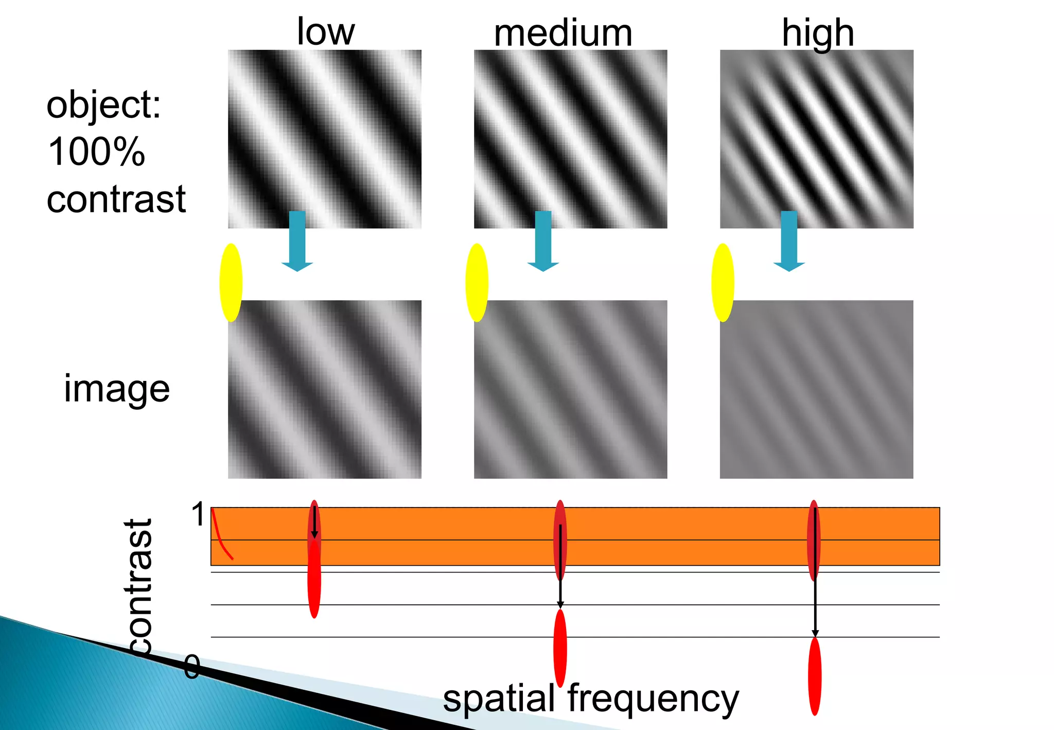 Contrast sensitivity | PPT