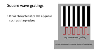 contrast sensitivity.pptx