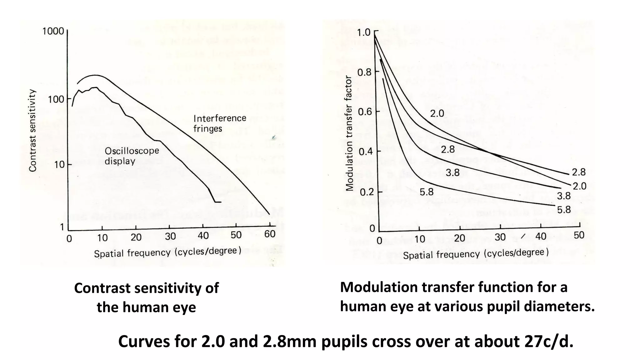 Contrast sensitivity, Clinical assessment of intra-ocular light scatter ...