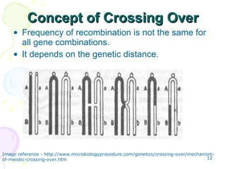 Contribution of crossing over and random assortment to | PPT
