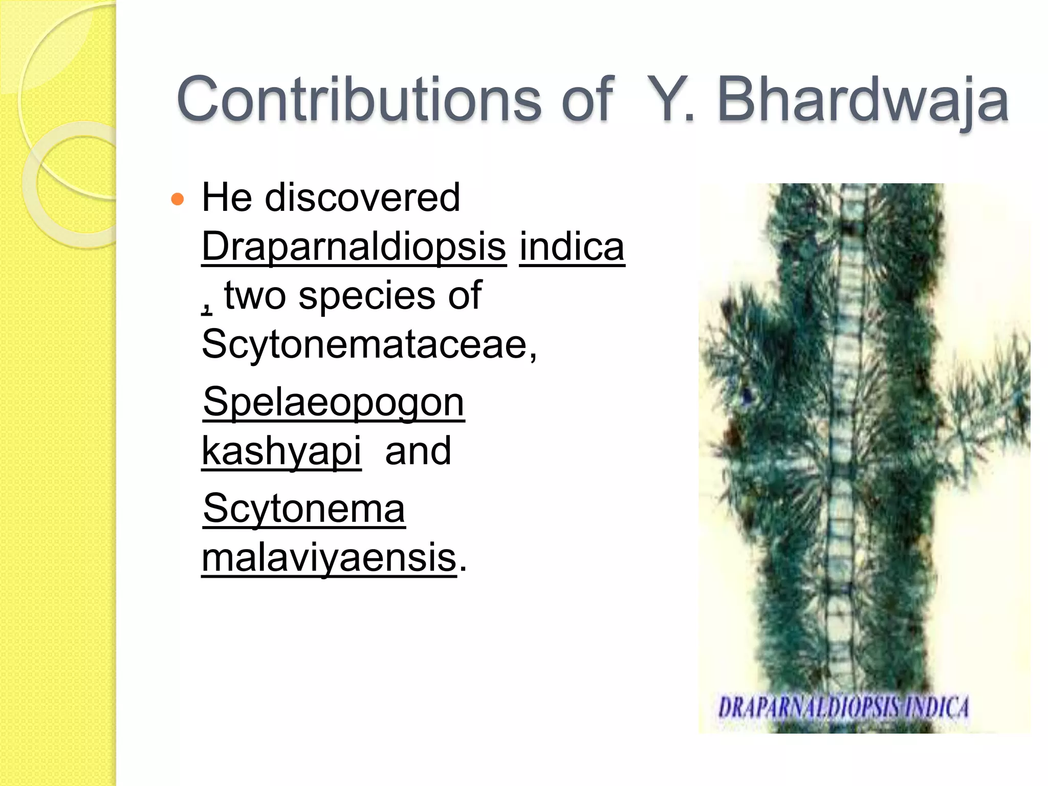 Contribution of indian phycologists in the development of phycology. | PPTX