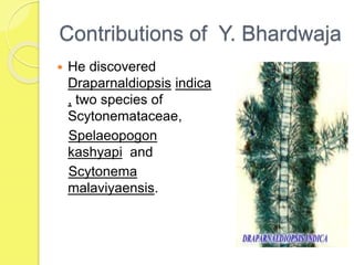 Contribution of indian phycologists in the development of phycology. | PPTX