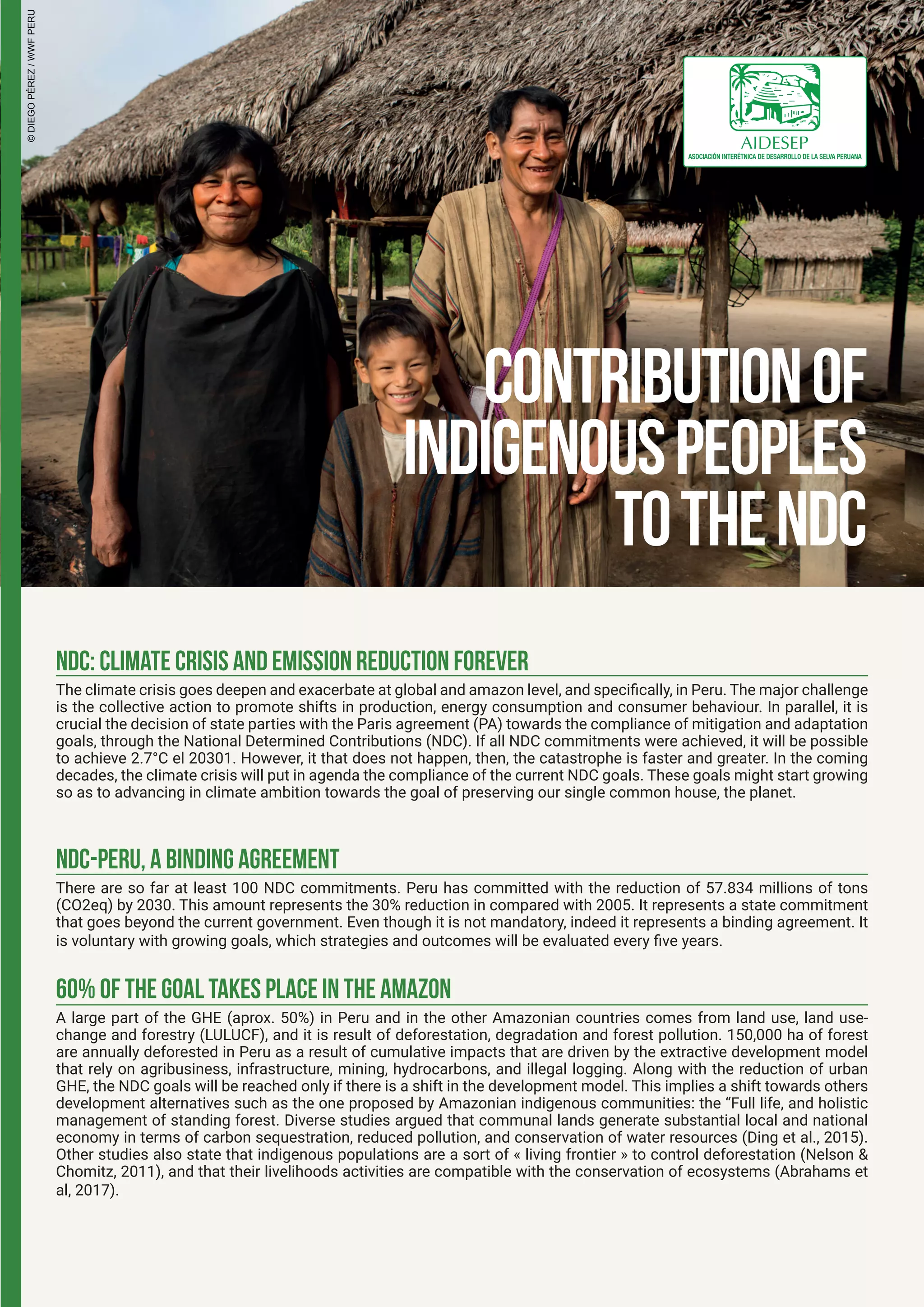 Contribution of Indigenous peoples to the NDC | PDF