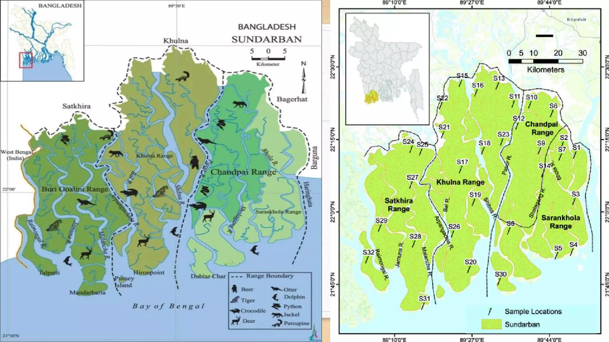 Contribution of Sundarban | PPTX