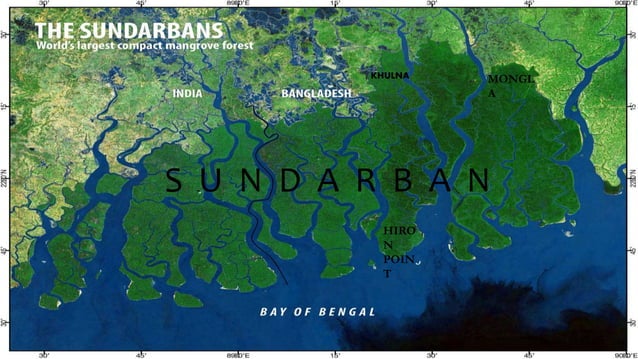 Contribution of Sundarban | PPTX