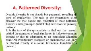 Contribution of systematics to biology by noor zada | PPTX