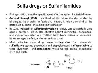Contributions of paul ehrlich | PPTX