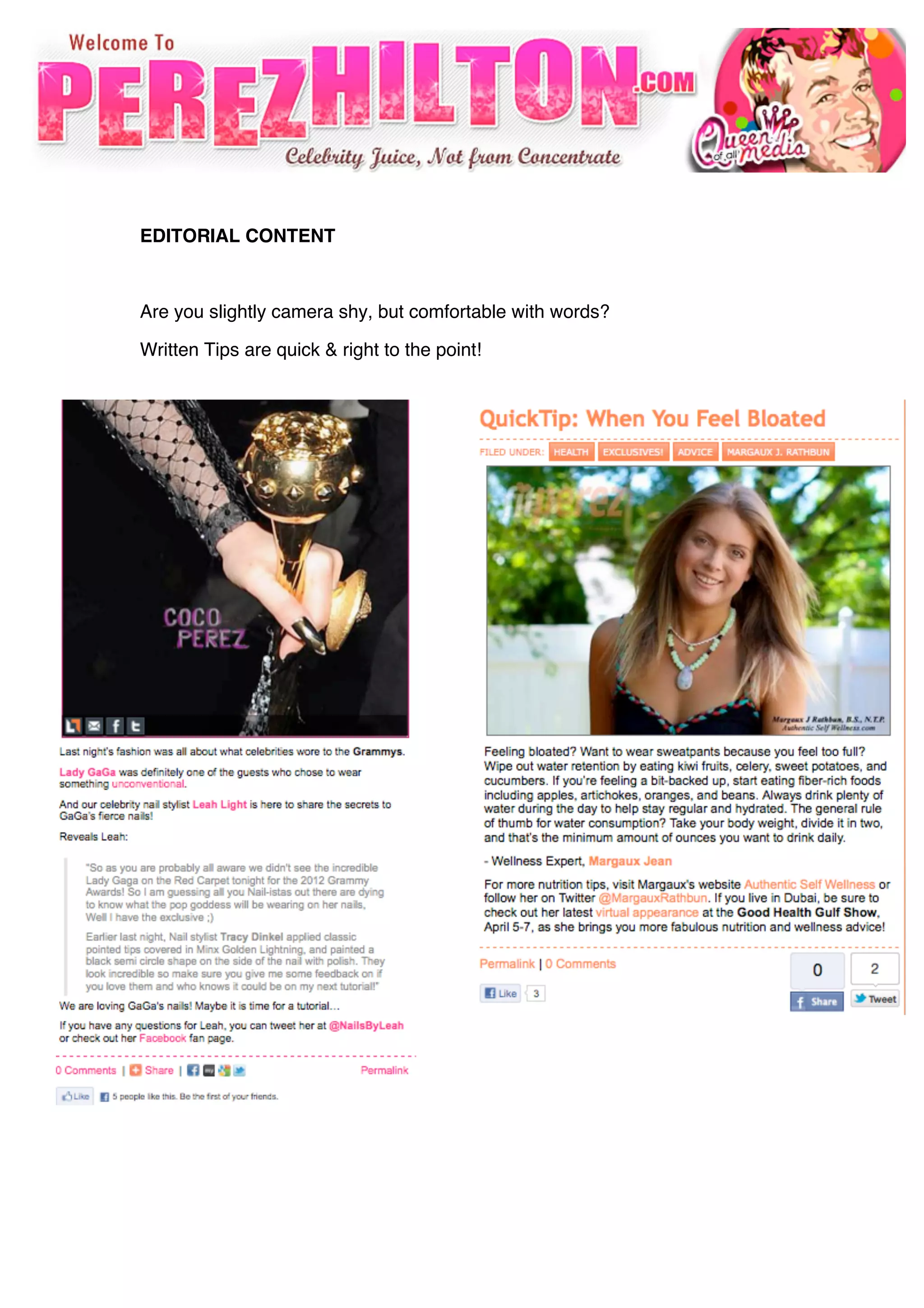 Contributor Guidelines | PDF