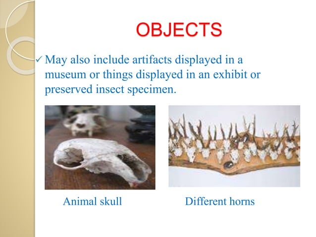 Contrived experiences clarizze edtech | PPT