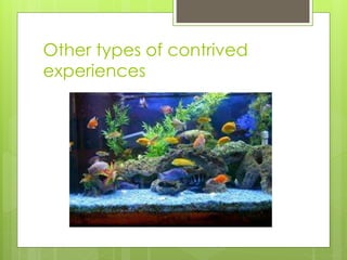 Contrived experiences of cone of experience - Bernadette P. Mendoza ...