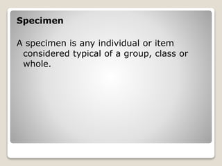 Contrive experience | PPT