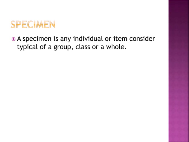 Contrive experience | PPTX