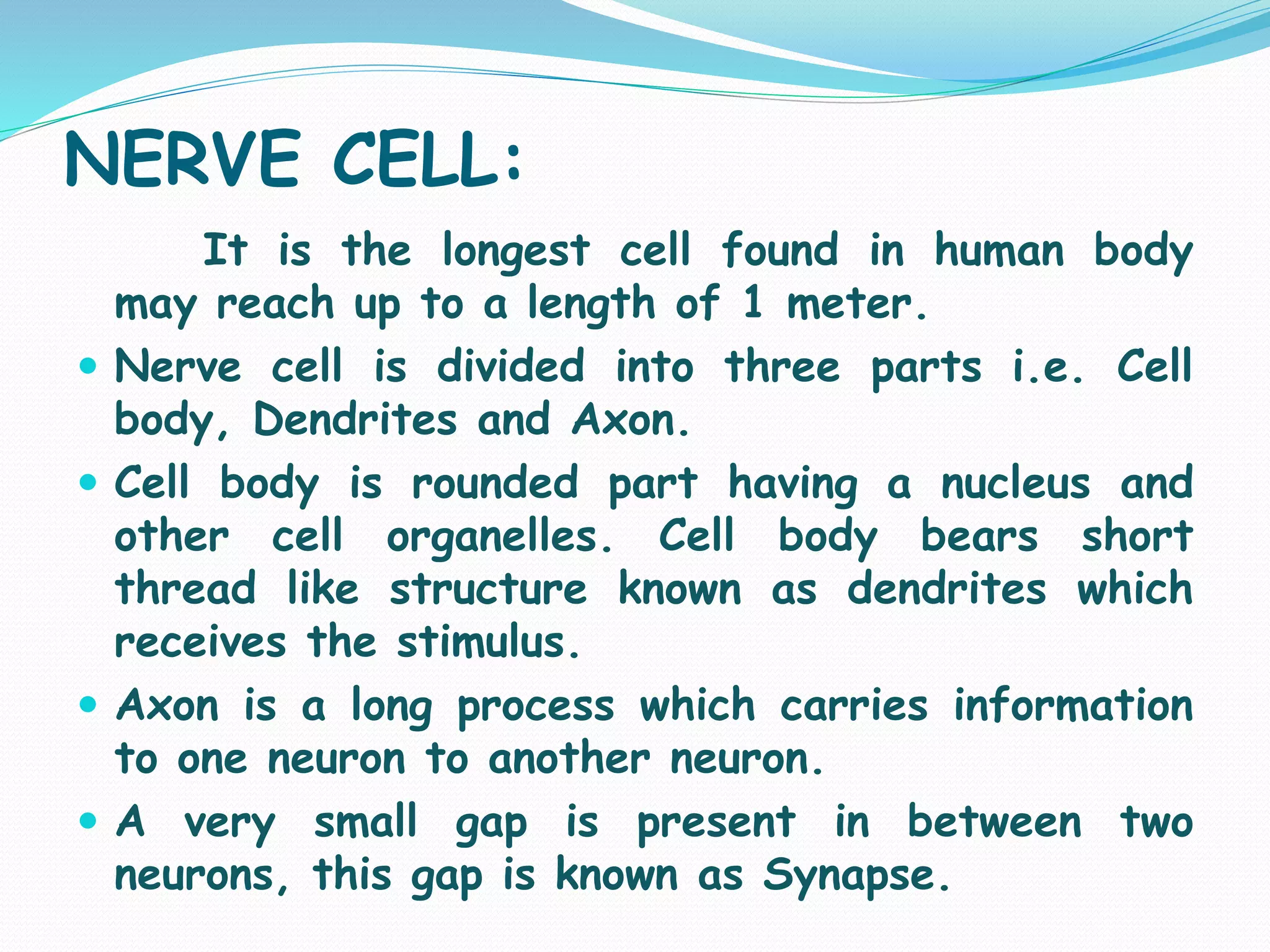 Control and Coordination | PPTX