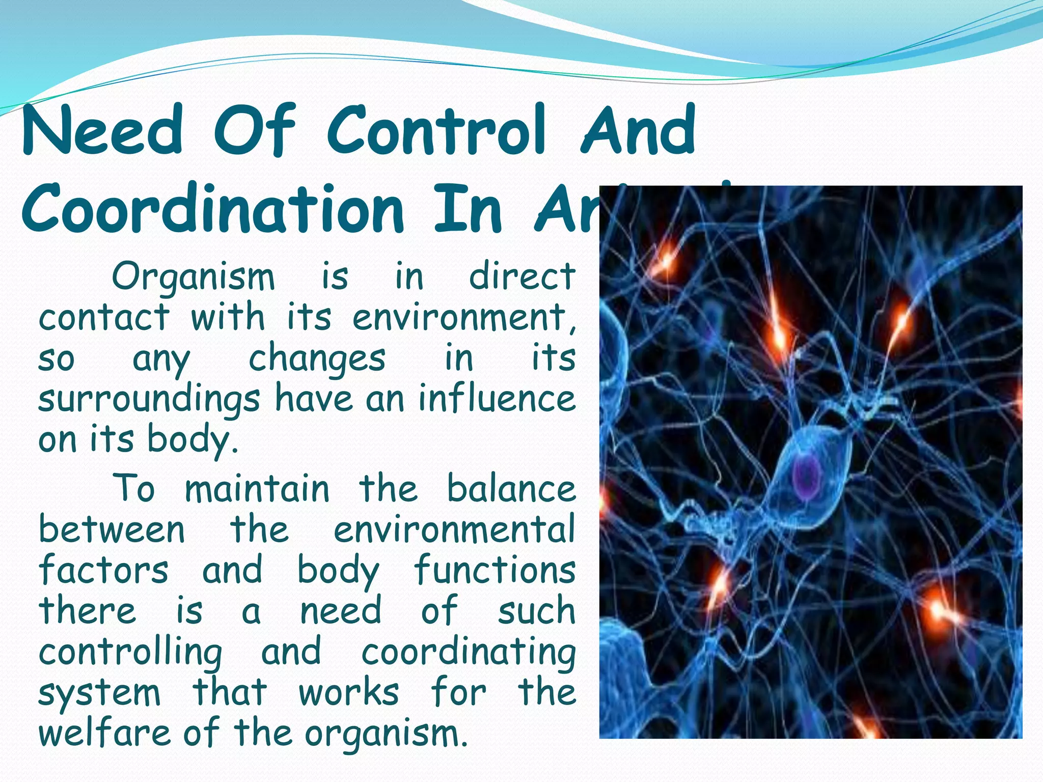 Control and Coordination | PPTX